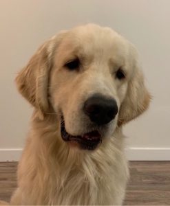 Future Workshops & Events | Gene Prokop